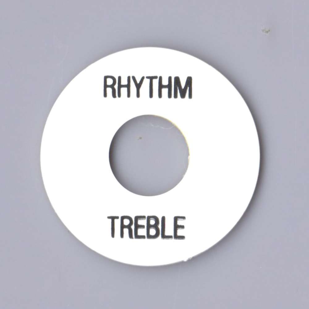 Rhythm/Treble Guitar Switch Plate